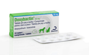 DOXYBACTIN 50 mg tablety pro psy a kočky – Sevaron
