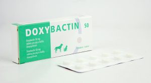 DOXYBACTIN 50 mg tablety pro psy a kočky – Sevaron