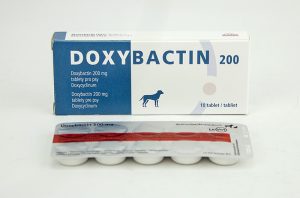 DOXYBACTIN 200 mg tablety pro psy – Sevaron