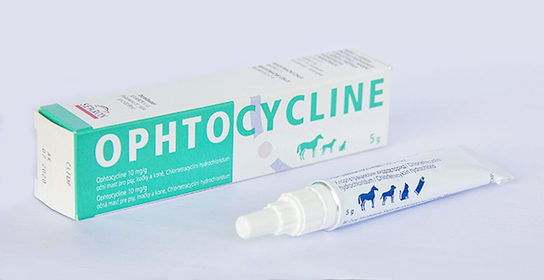 OPHTOCYCLINE 10 mg/g oční mast pro psy, kočky a koně – Sevaron