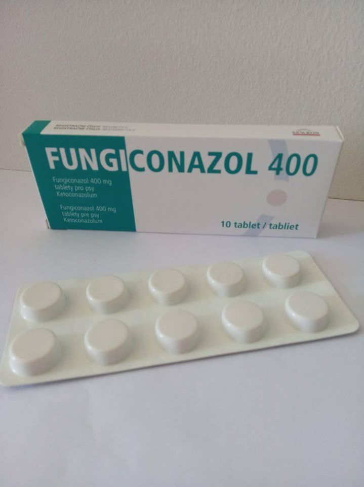 FUNGICONAZOL 400 mg tablety pro psy – Sevaron