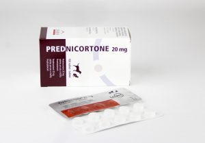 PREDNICORTONE 20 mg tablety pro psy a kočky – Sevaron