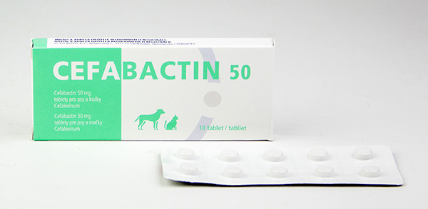 CEFABACTIN 50 mg tablety pro psy a kočky – Sevaron