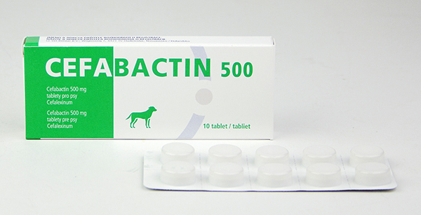 CEFABACTIN 500 mg tablety pro psy – Sevaron