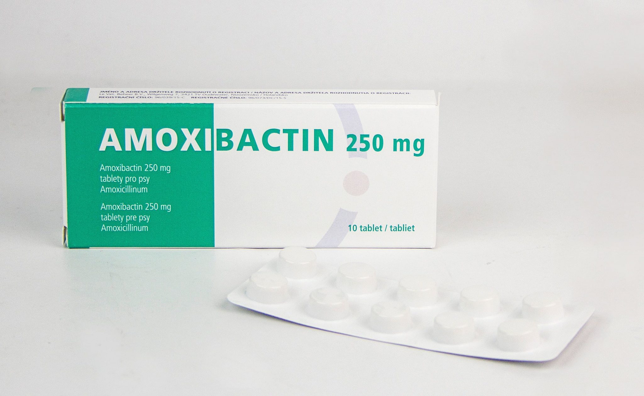AMOXIBACTIN 250 mg tablety pro psy – Sevaron